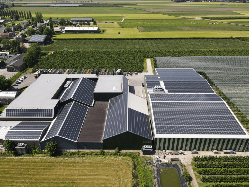 Project: Fruitbedrijf J. de Jong - Generation Green