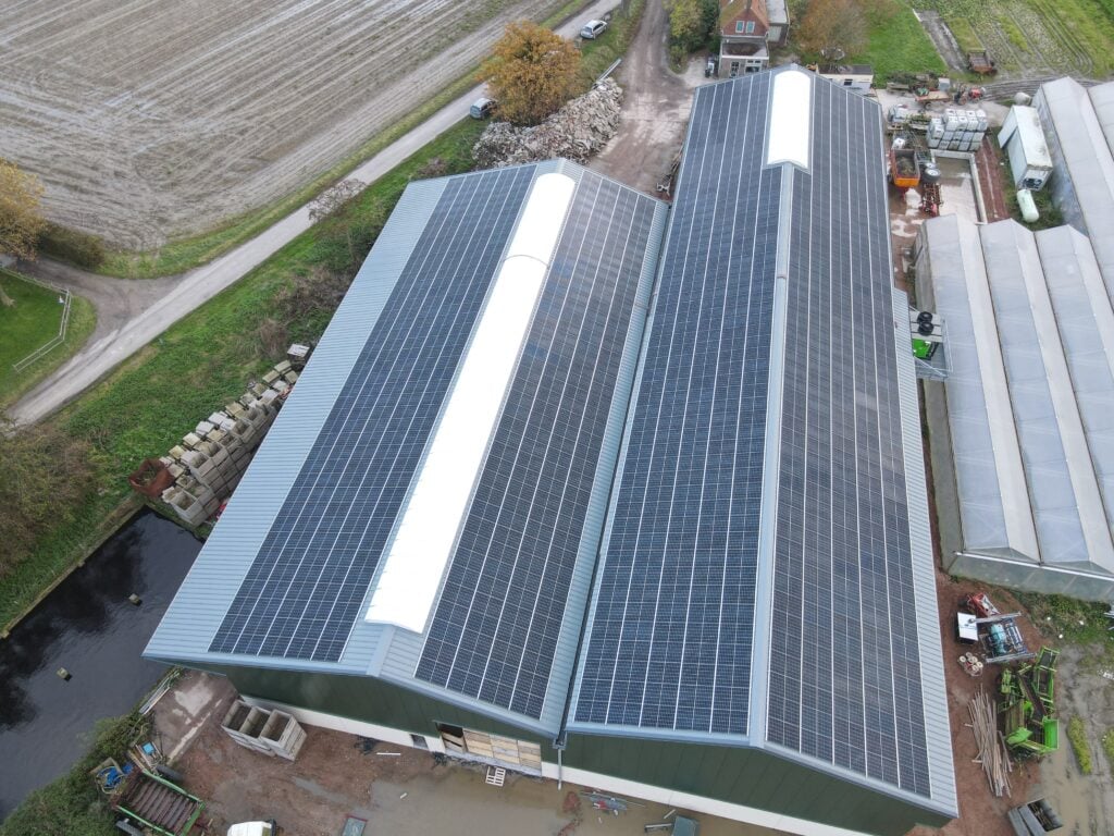 Dieleman Bio Groenten - Generation Green